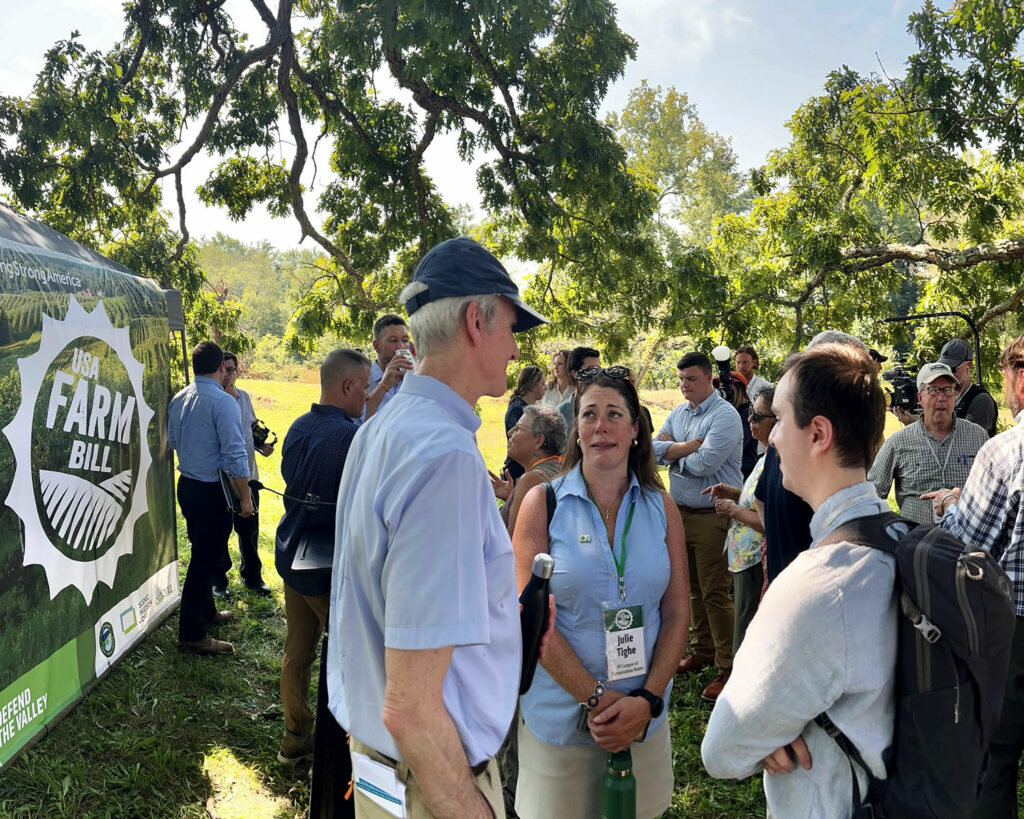 Campaigns - Defend the Valley